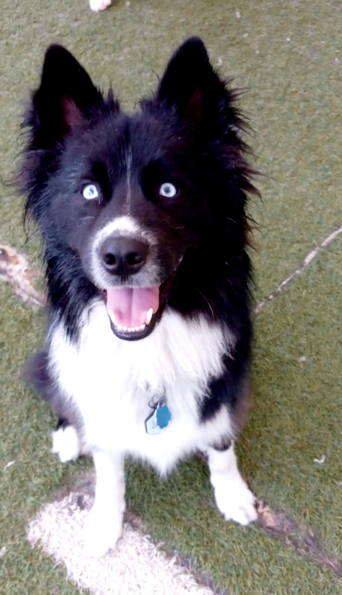 Team — Stallaert Lab