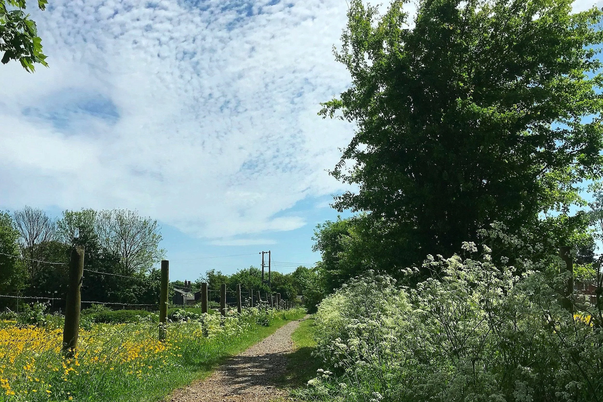 Collingbourne Ducis Parish Council