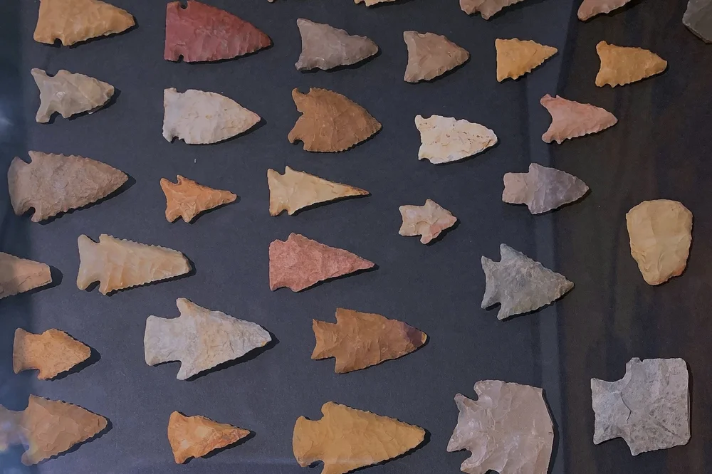 Museum of the Mississippi Delta