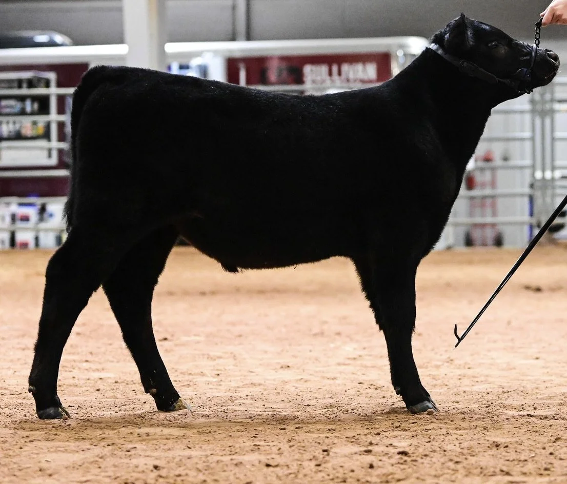 General 2 — MASSIE CATTLE COMPANY