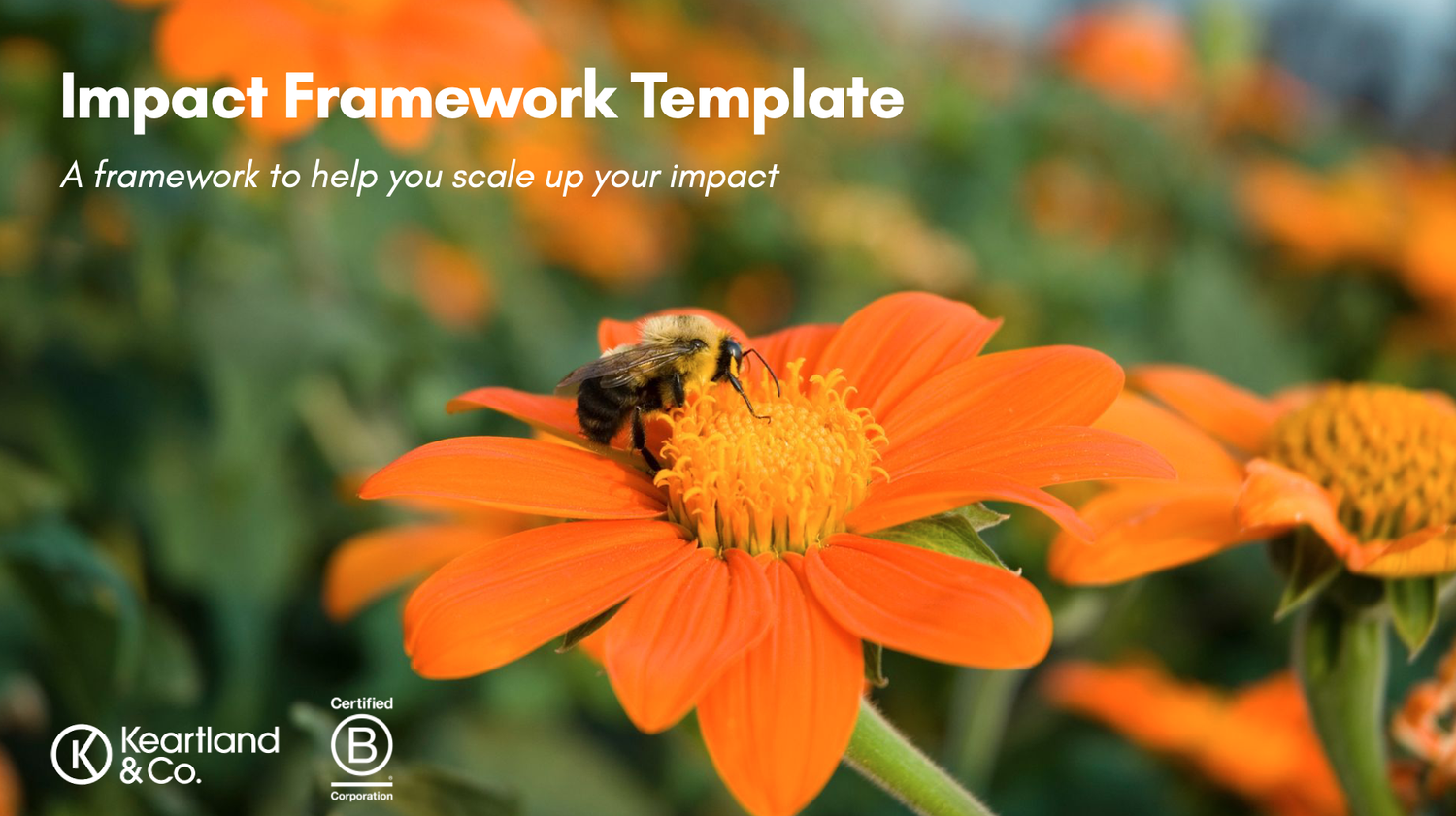 Impact Framework Template — Keartland & Co