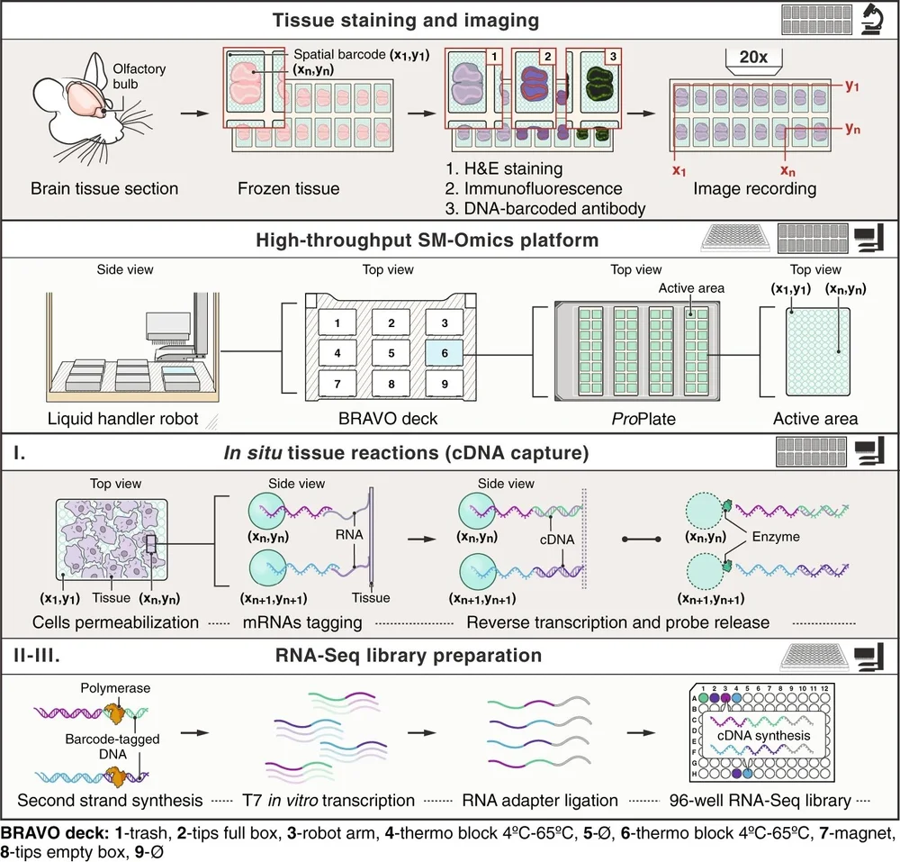Projects — vickovic lab | tech innovation lab