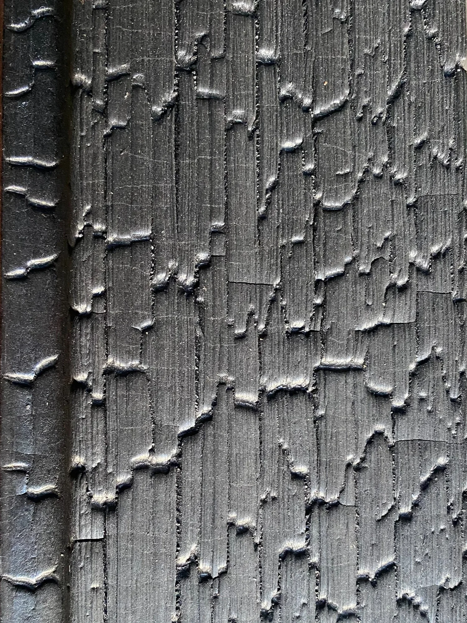 Premium Charred Wood Finishes: Thermal Ash, Accoya & More — Chartek