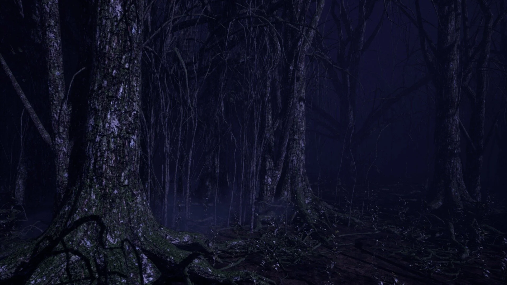 Dark Forest Night Wallpaper