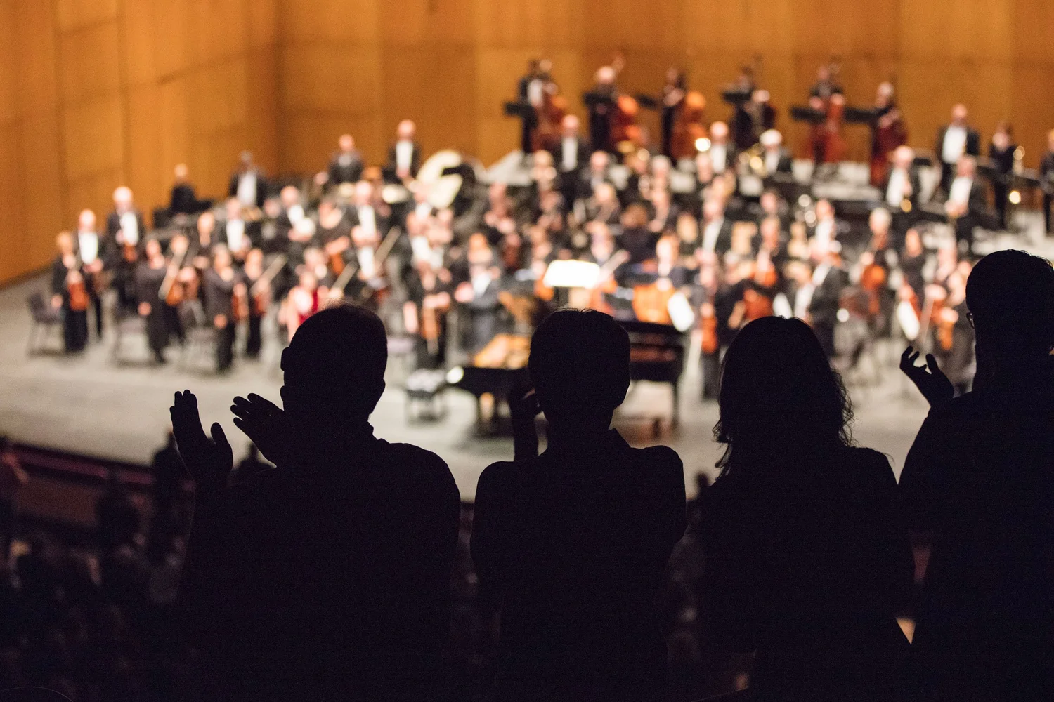 Volunteer Opportunities — Anchorage Symphony Orchestra
