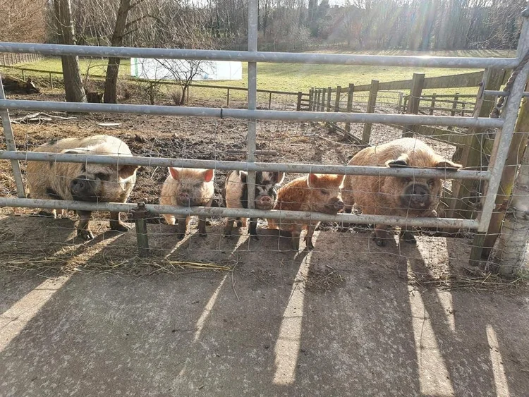 About 1 — Bill Quay Farm