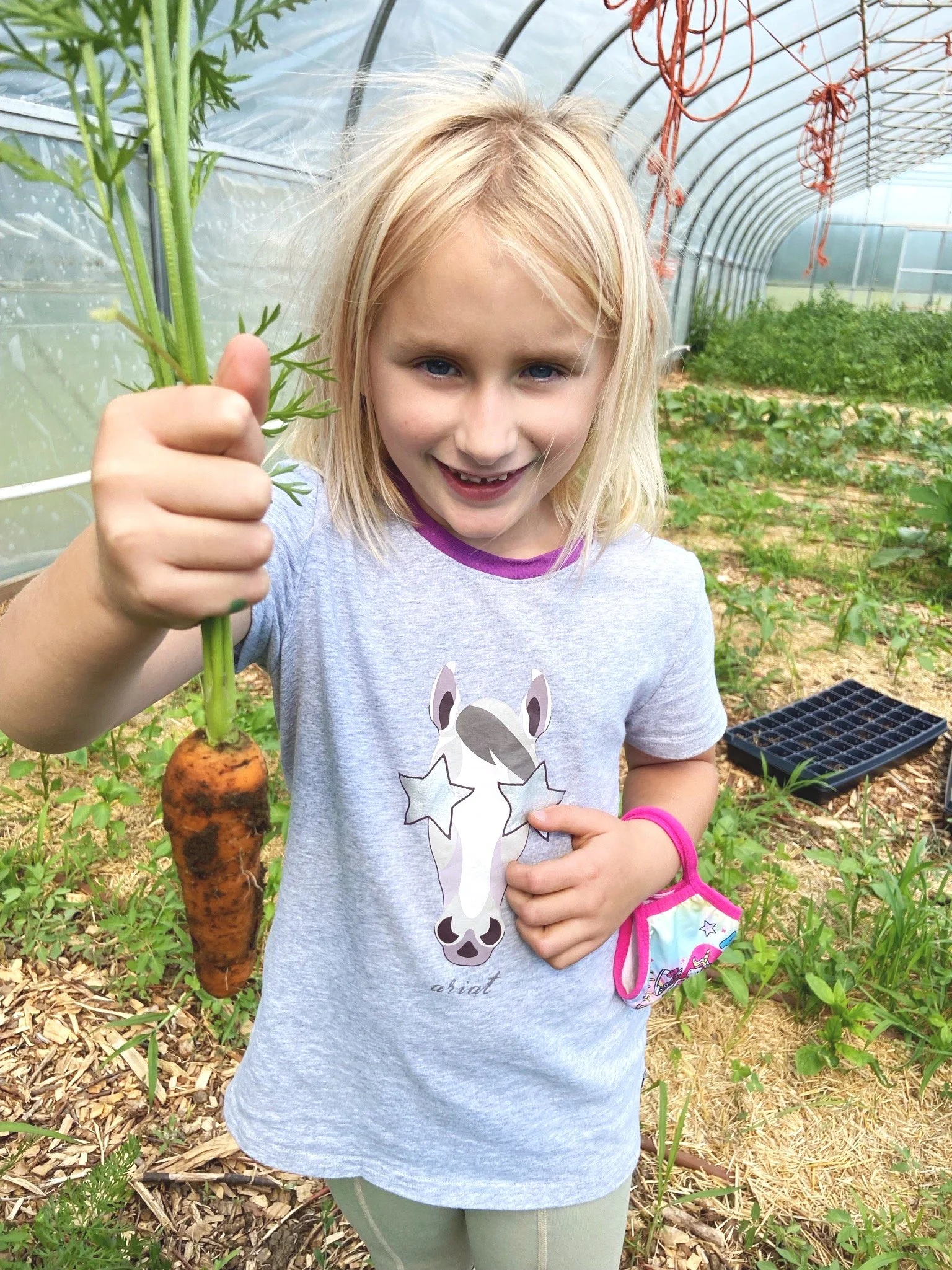 Contact — Good Pickin' Farm Education