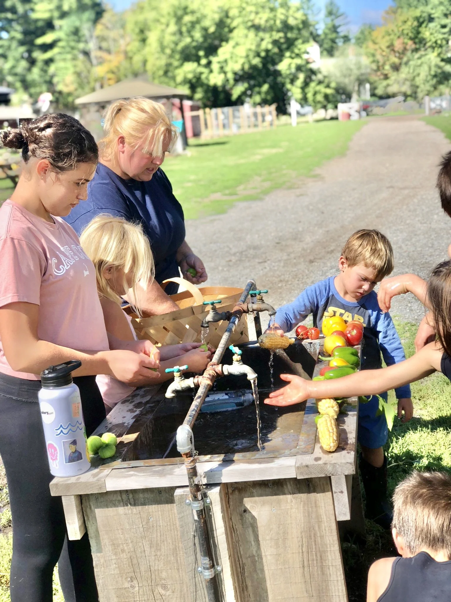 Good Pickin' Farm School — Good Pickin' Farm Education