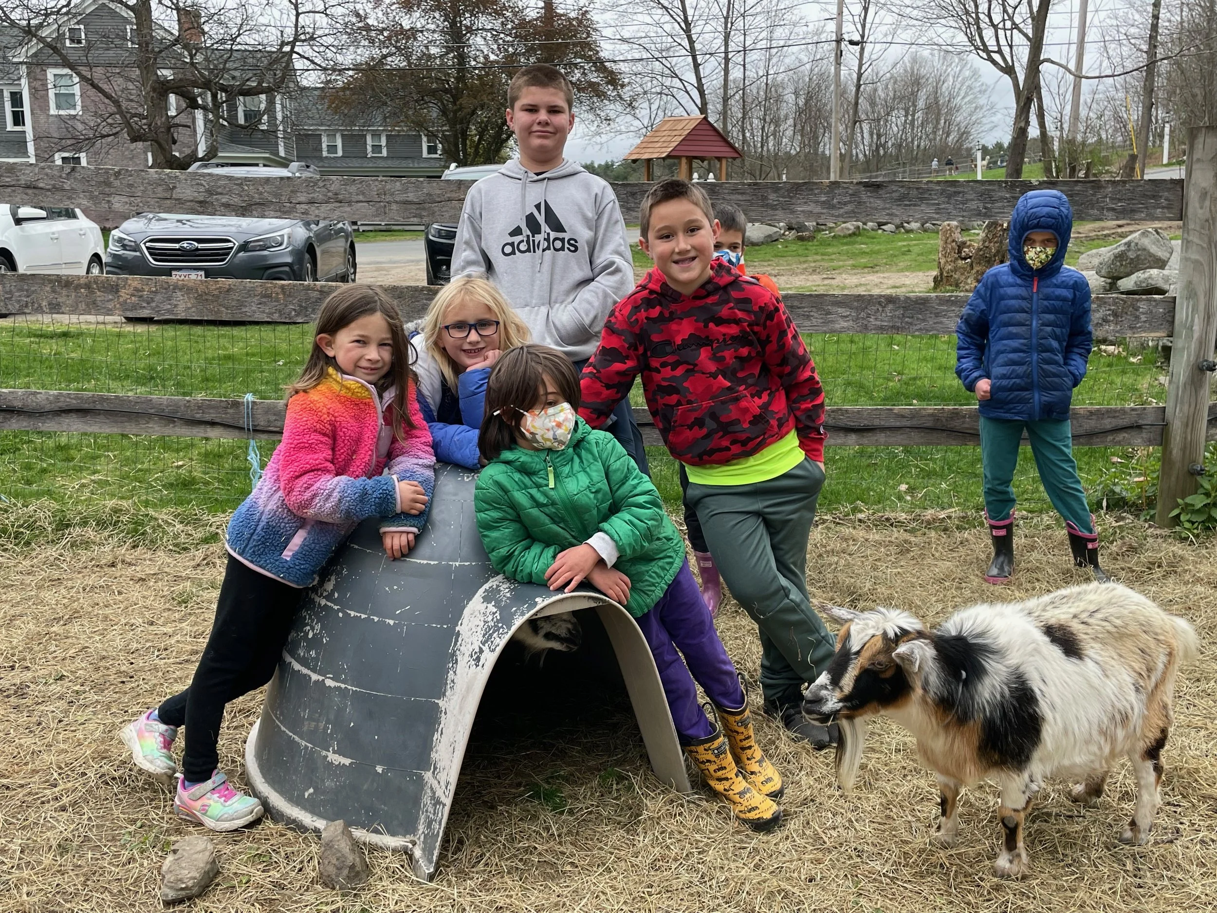 Good Pickin' Farm School — Good Pickin' Farm Education