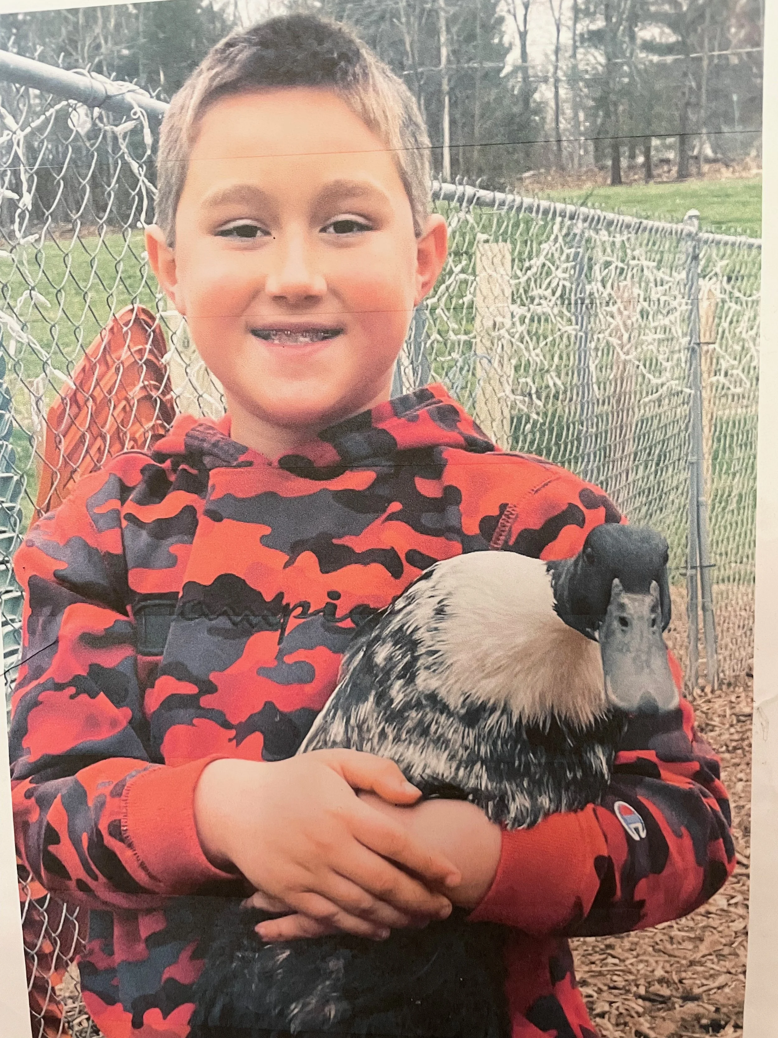 Good Pickin' Farm School — Good Pickin' Farm Education