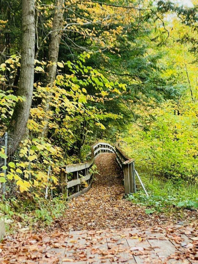 Explore the Outdoors: Family-Friendly Hikes in Sullivan County ...