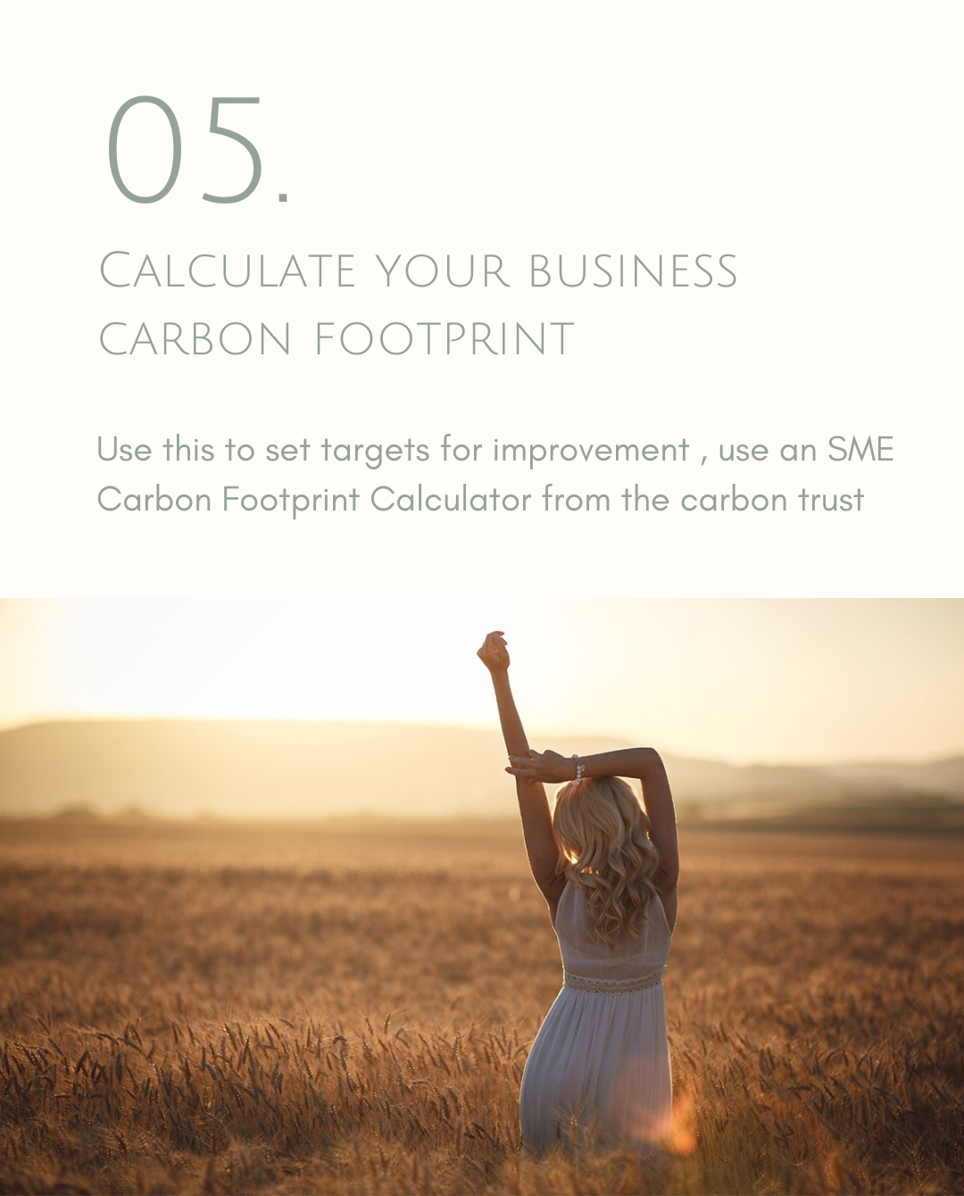 HENLEY NATURALS - 5 Steps for Net-Zero in Business for 2050