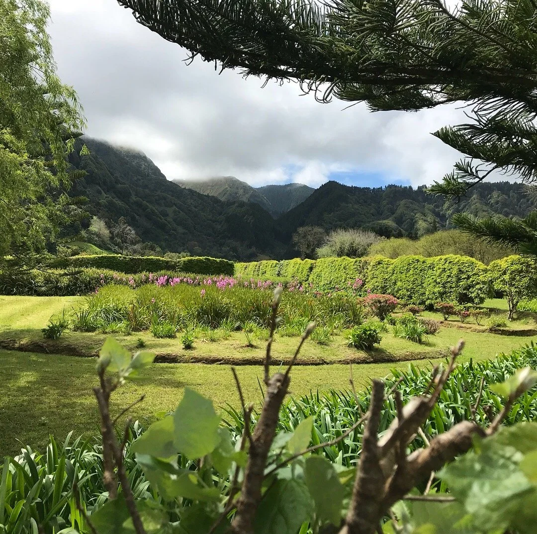 Meet Sam — Sam Hahn Travel