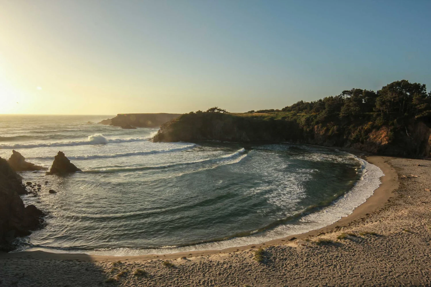 Jug Handle State Natural Reserve — MendoParks