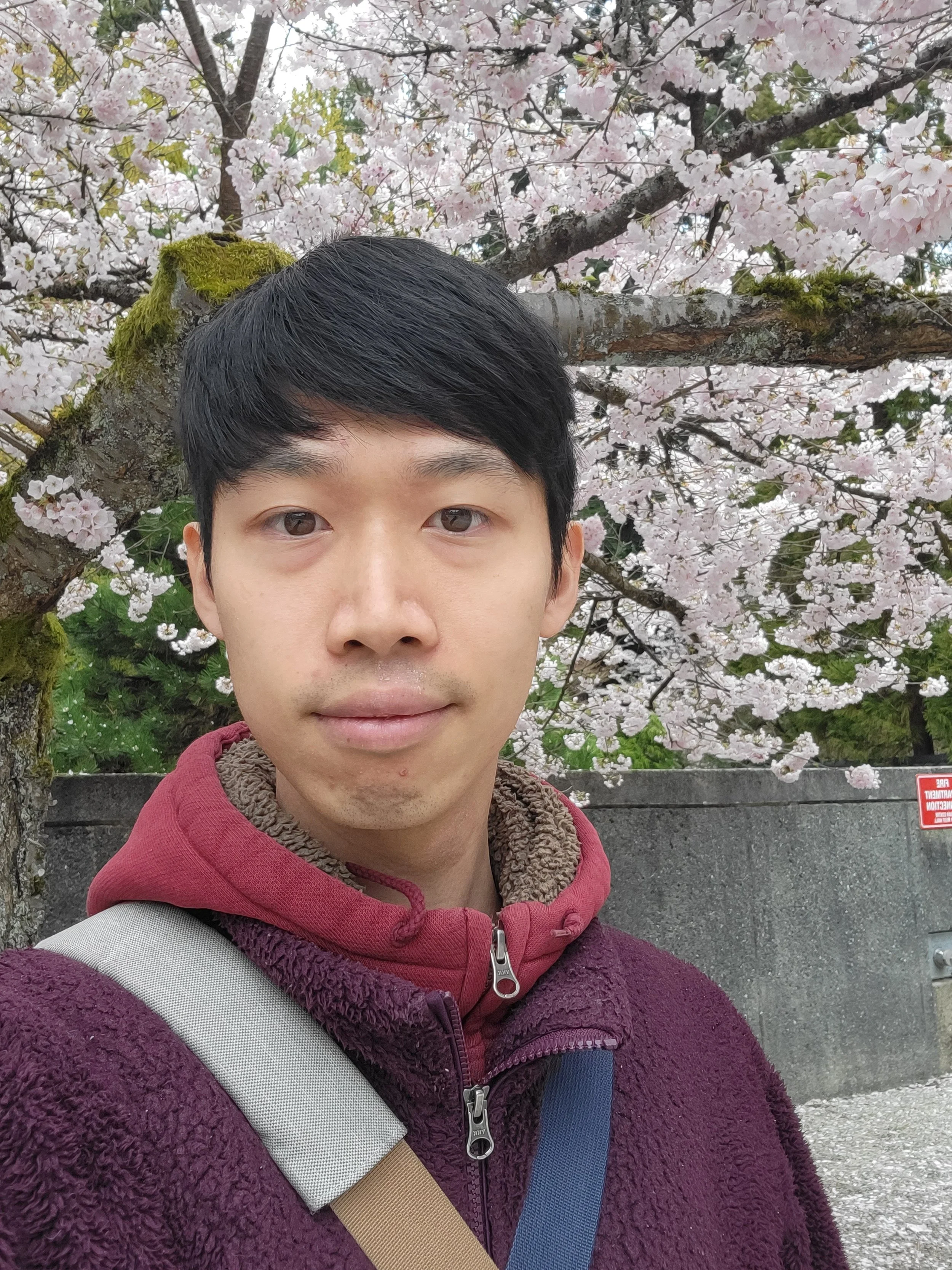 Intern Counsellors — Dragonstone Counselling