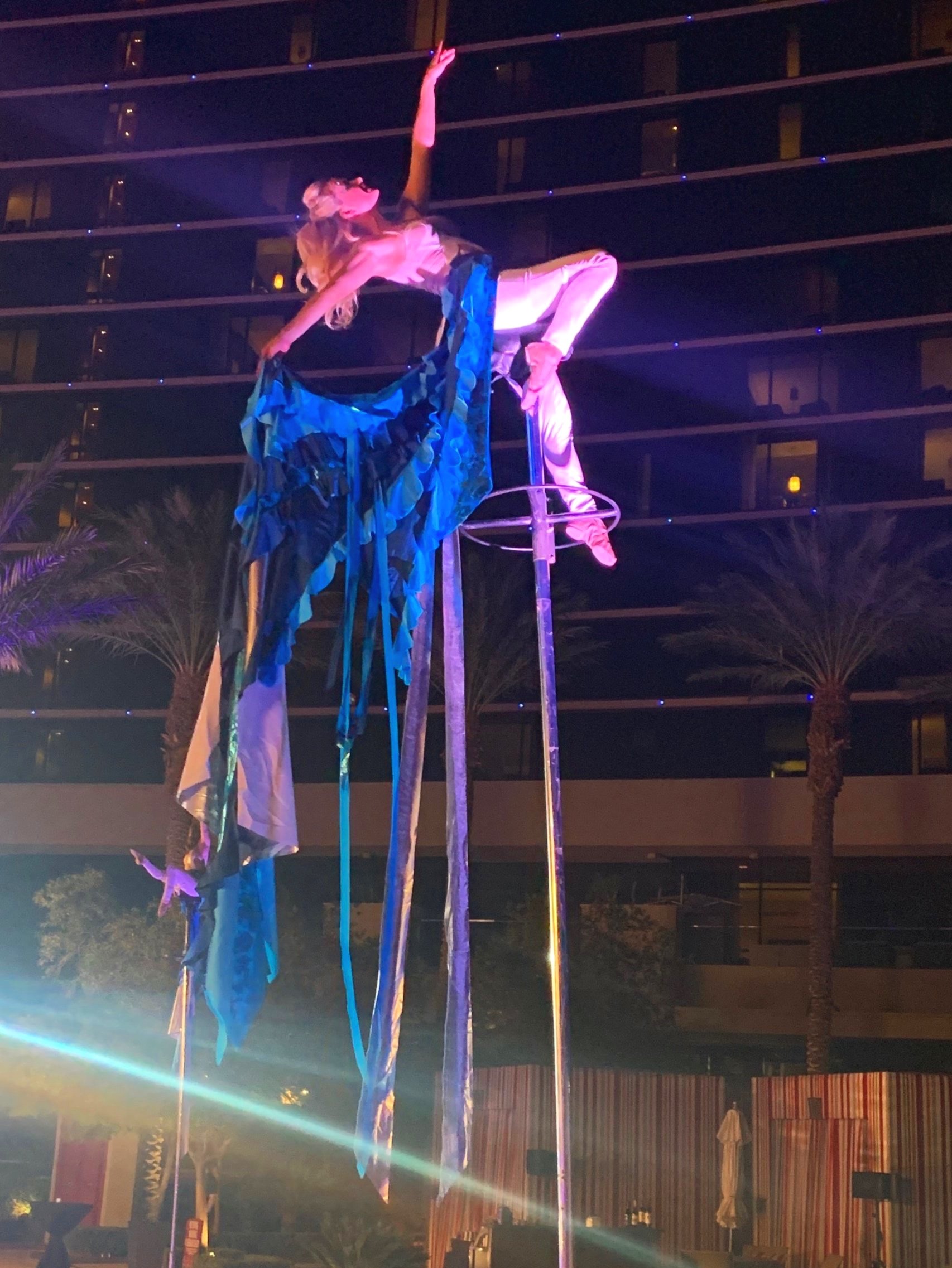 Sway Pole Pros