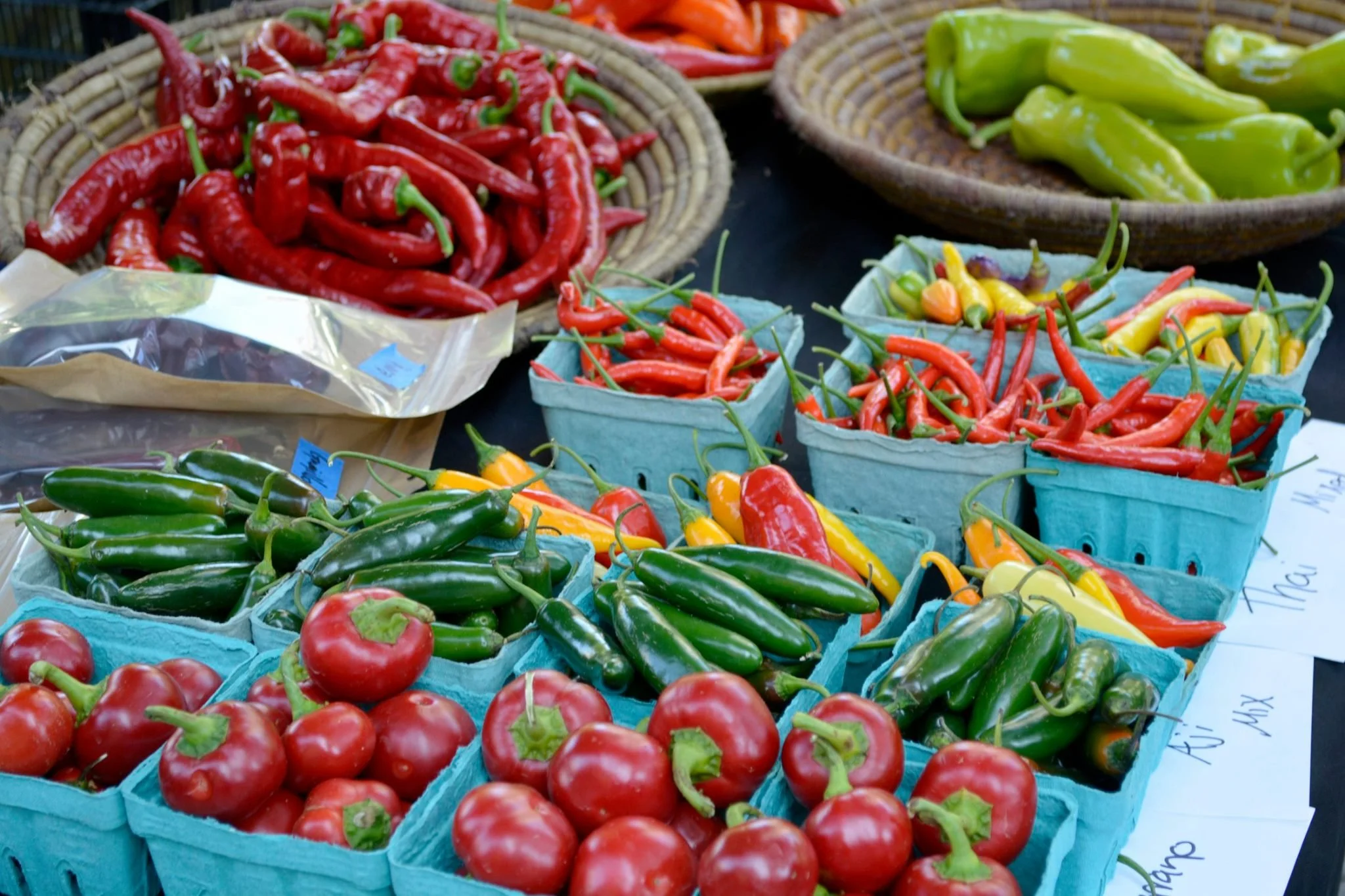Boston Local Food Festival — Boston Local Food