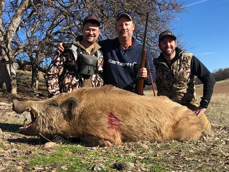 Wild Pig Hunting in California