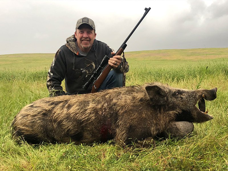 Wild Pig Hunting in California