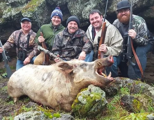 Wild Pig Hunting in California