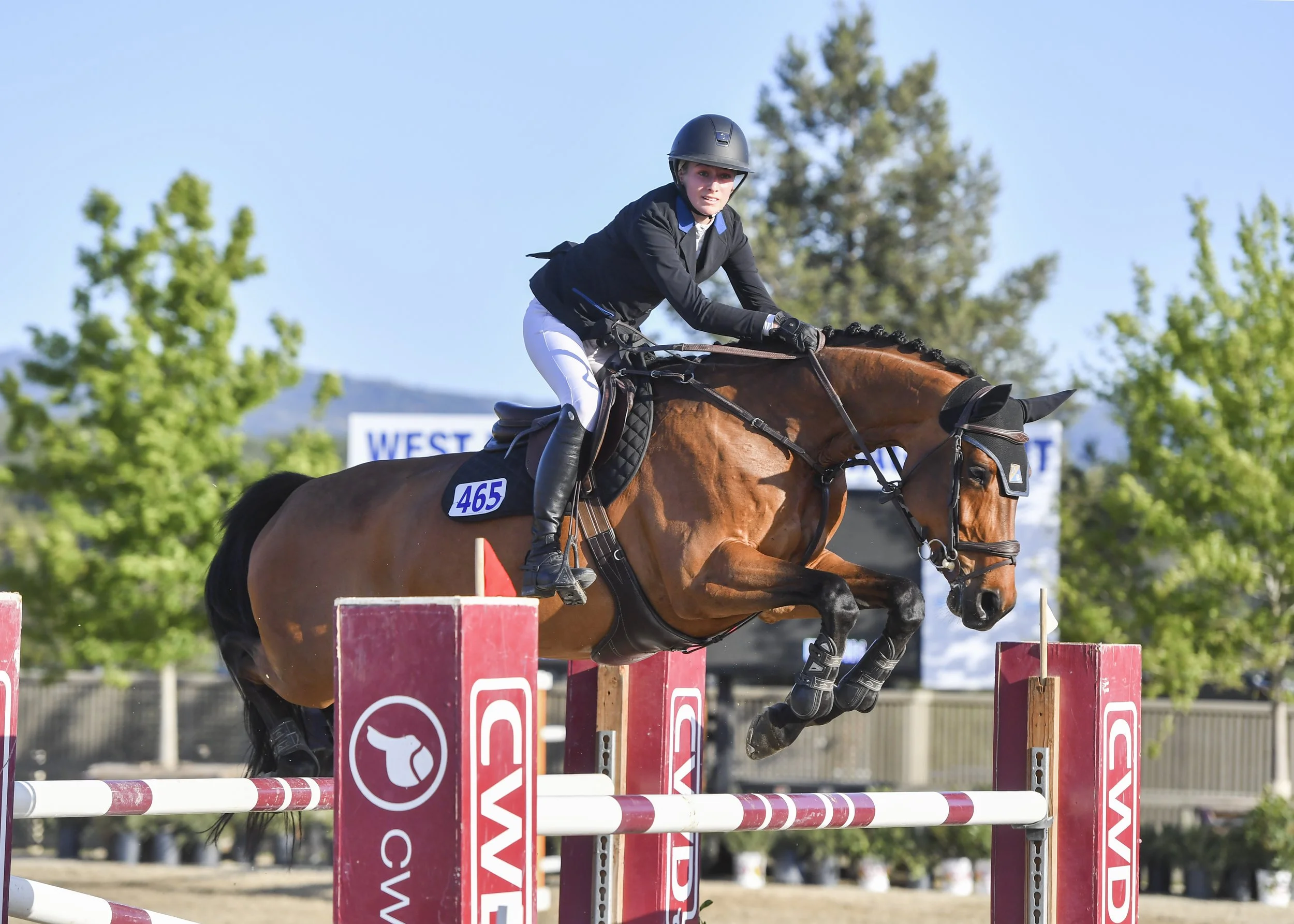 The Horse Park at Woodside