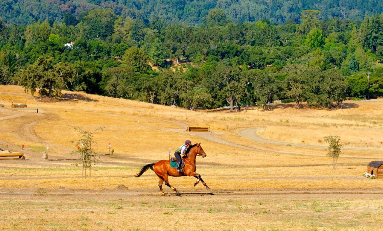 The Horse Park at Woodside