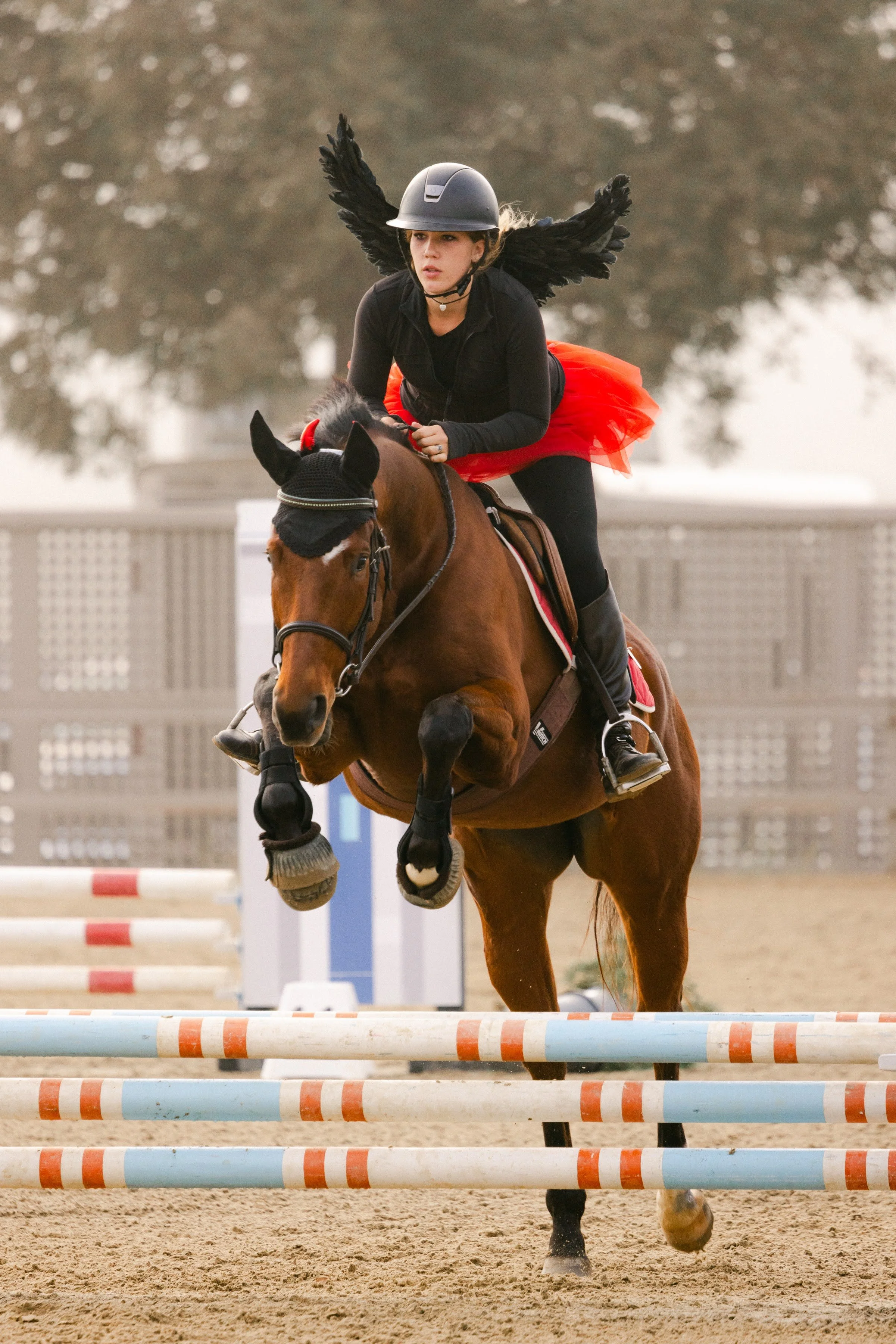 Upcoming Events — The Horse Park at Woodside