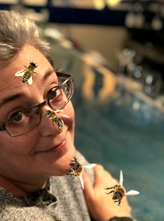 Board Members — CABA