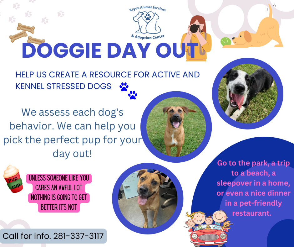 General 3 — Bayou Animal Services Animal Services & Adoption Center