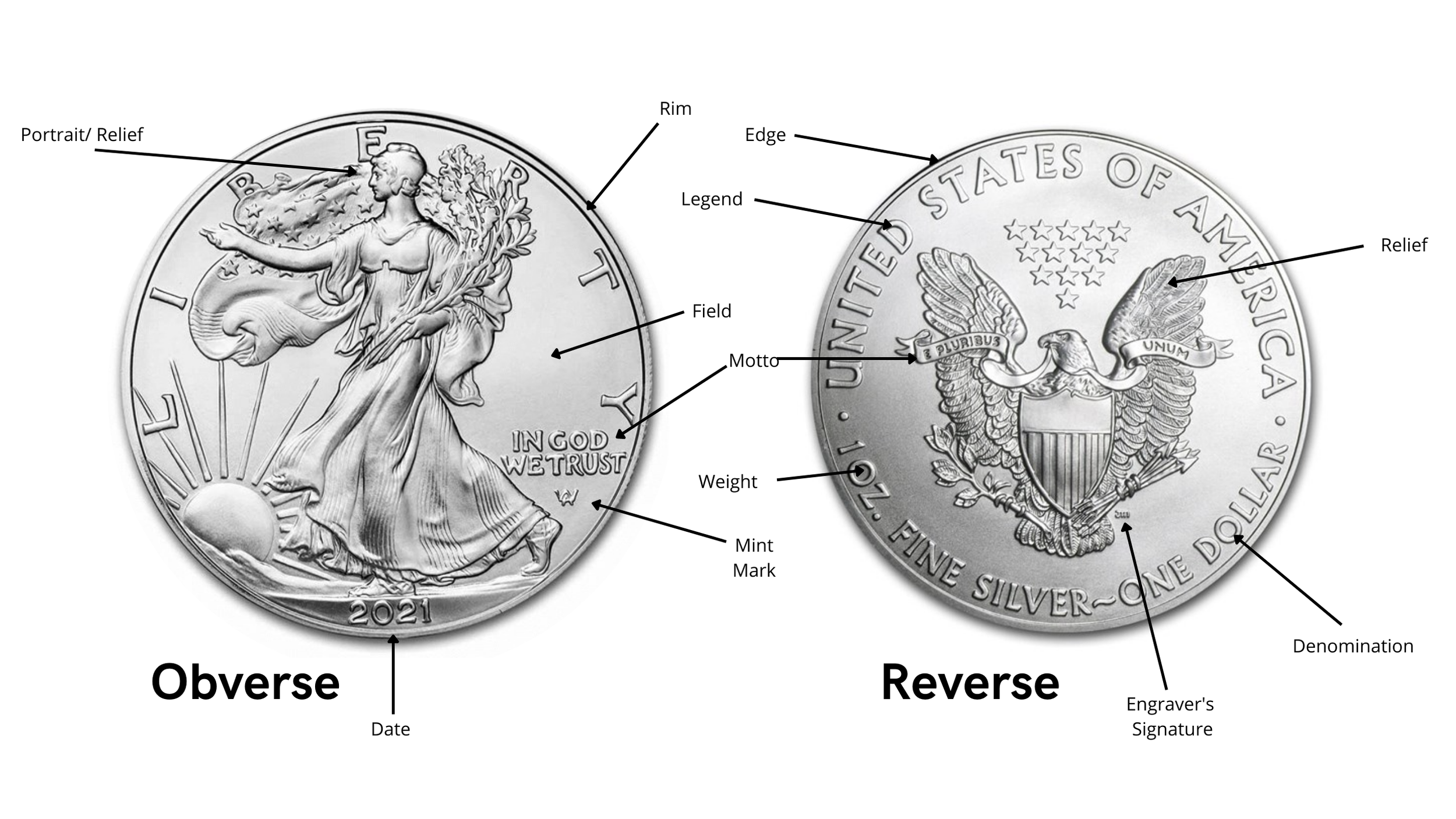 Anatomy of Coins — HobbySilver.com