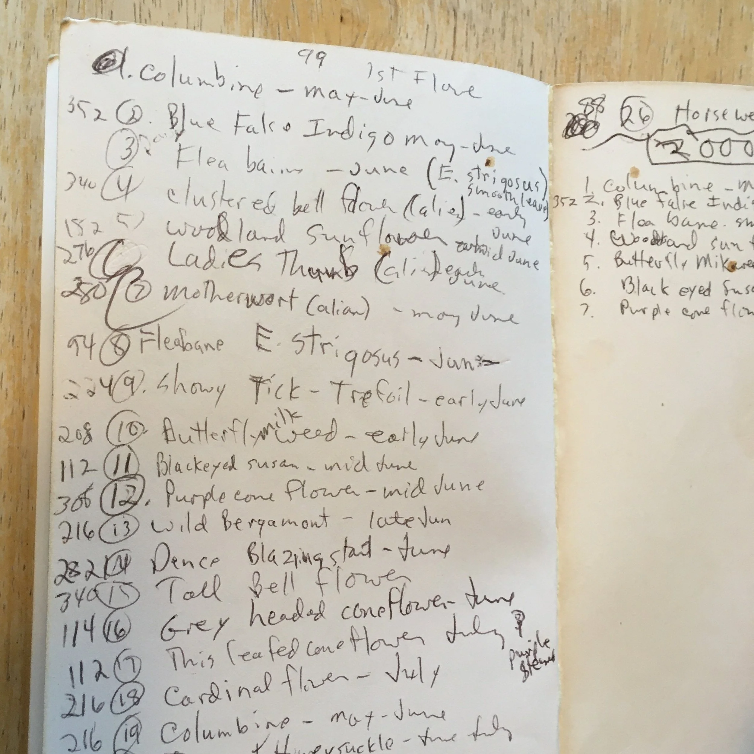 In Praise of Field Guides — Nature Book Guide