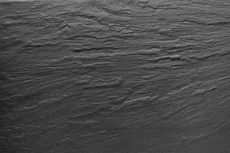 Project Management Portfolio — TERVA Corporation