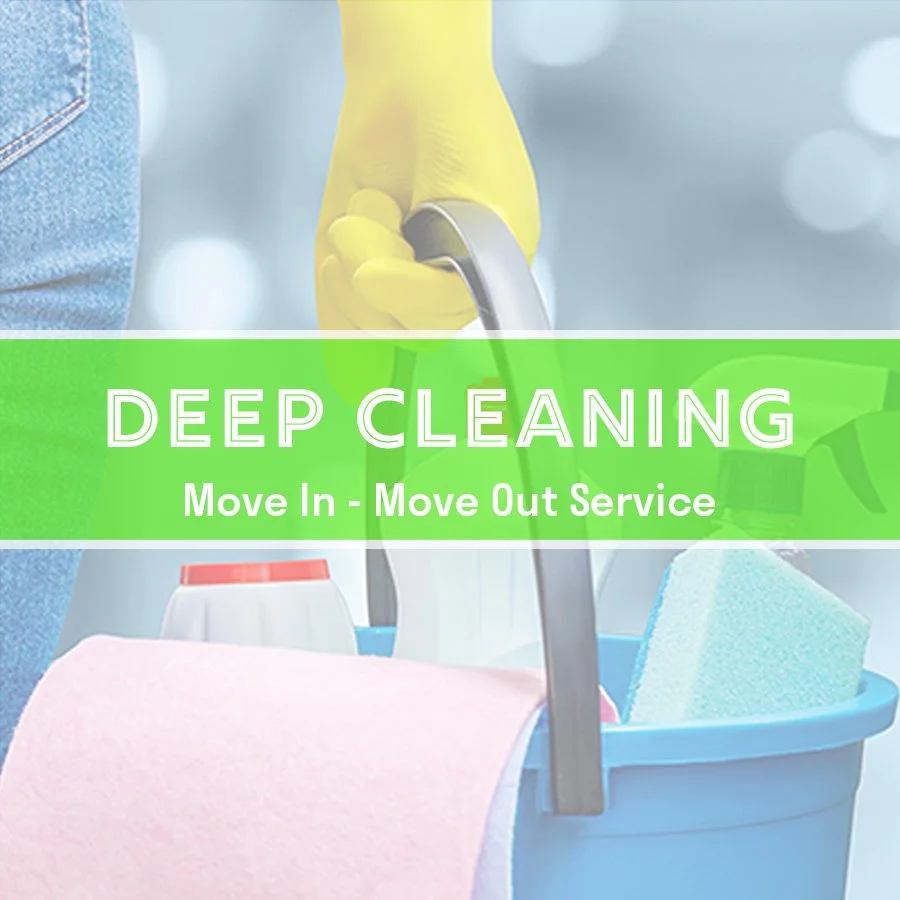 South Shore Cleaning Services