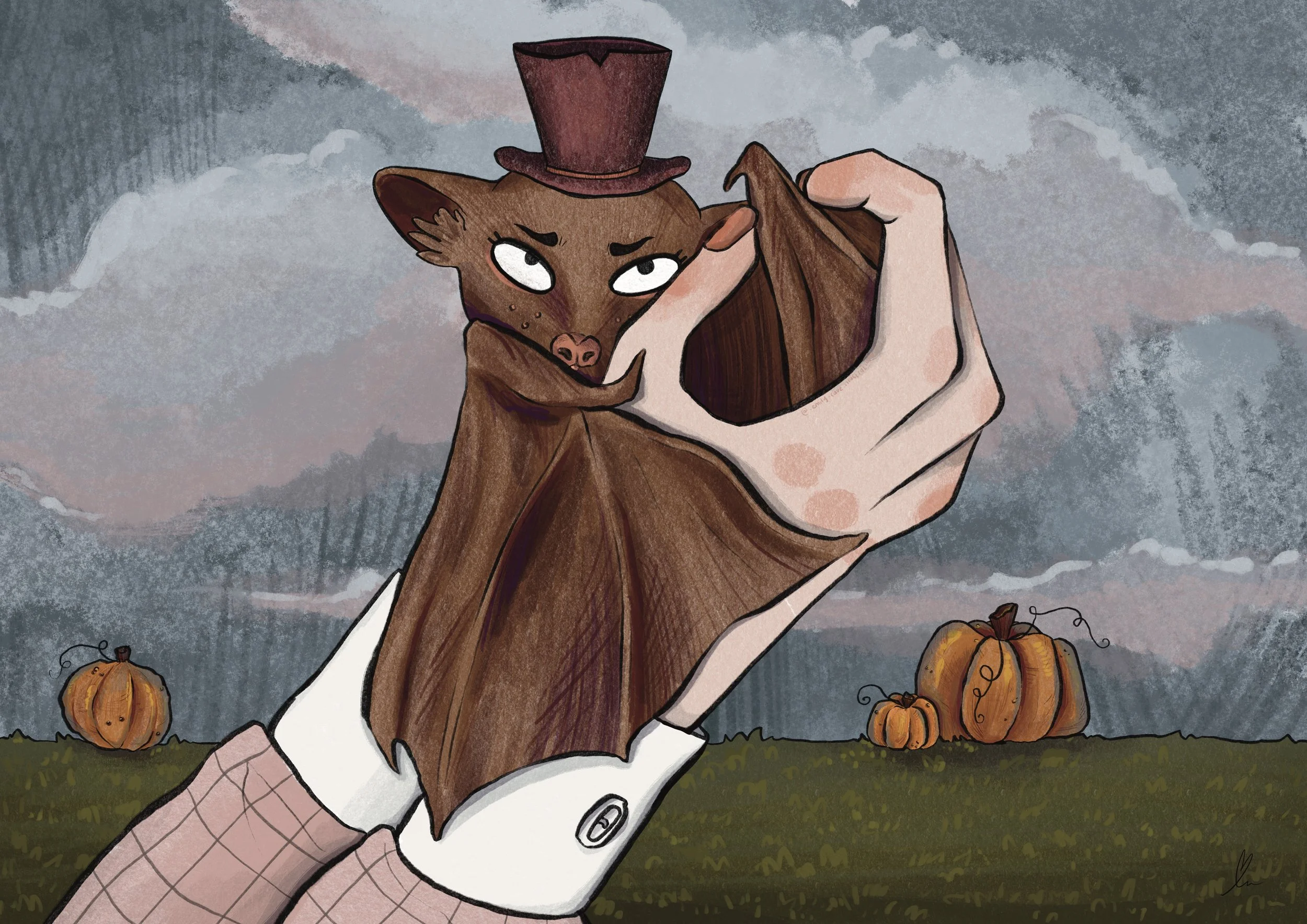 Emily Cave Illustrations