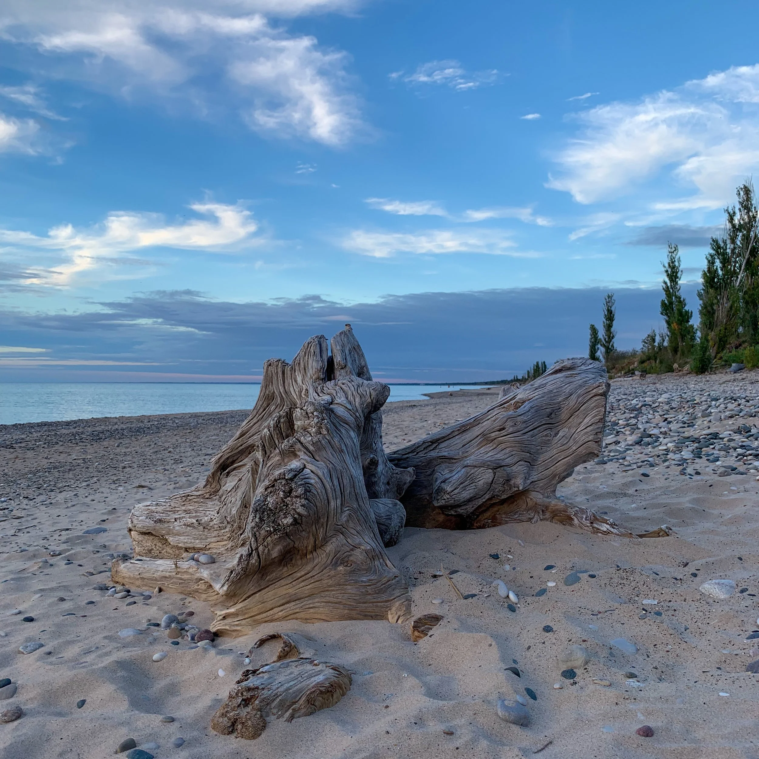 David Grand, MSW, RSW, PhD(c), Psychotherapist