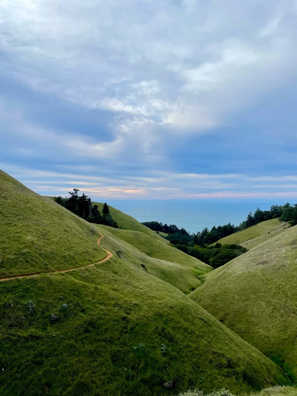 Dr. Amy Waldron | Therapist in San Francisco, CA