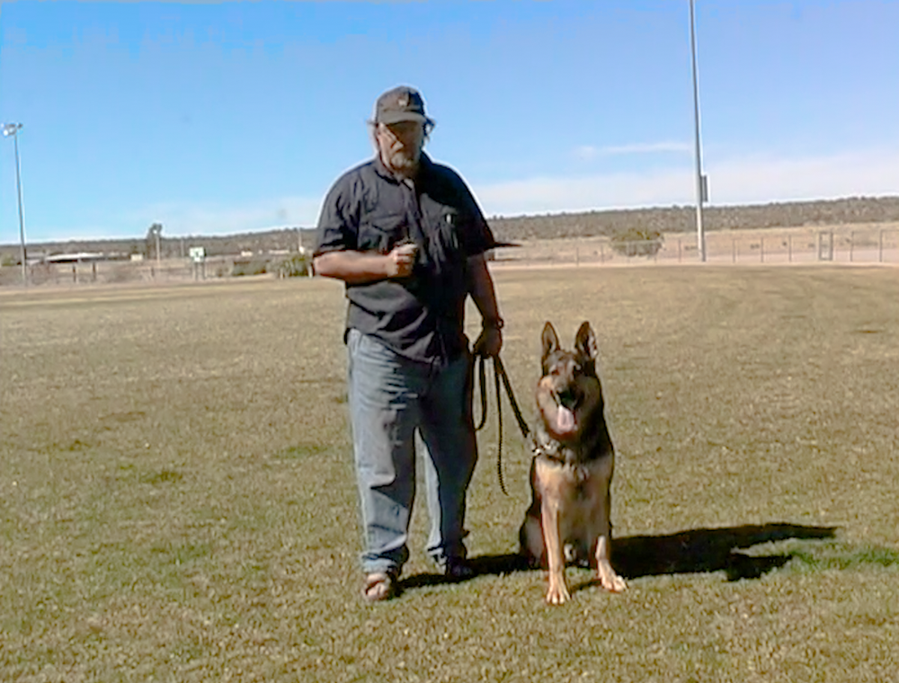 Personal protection dog training — AlpineK9