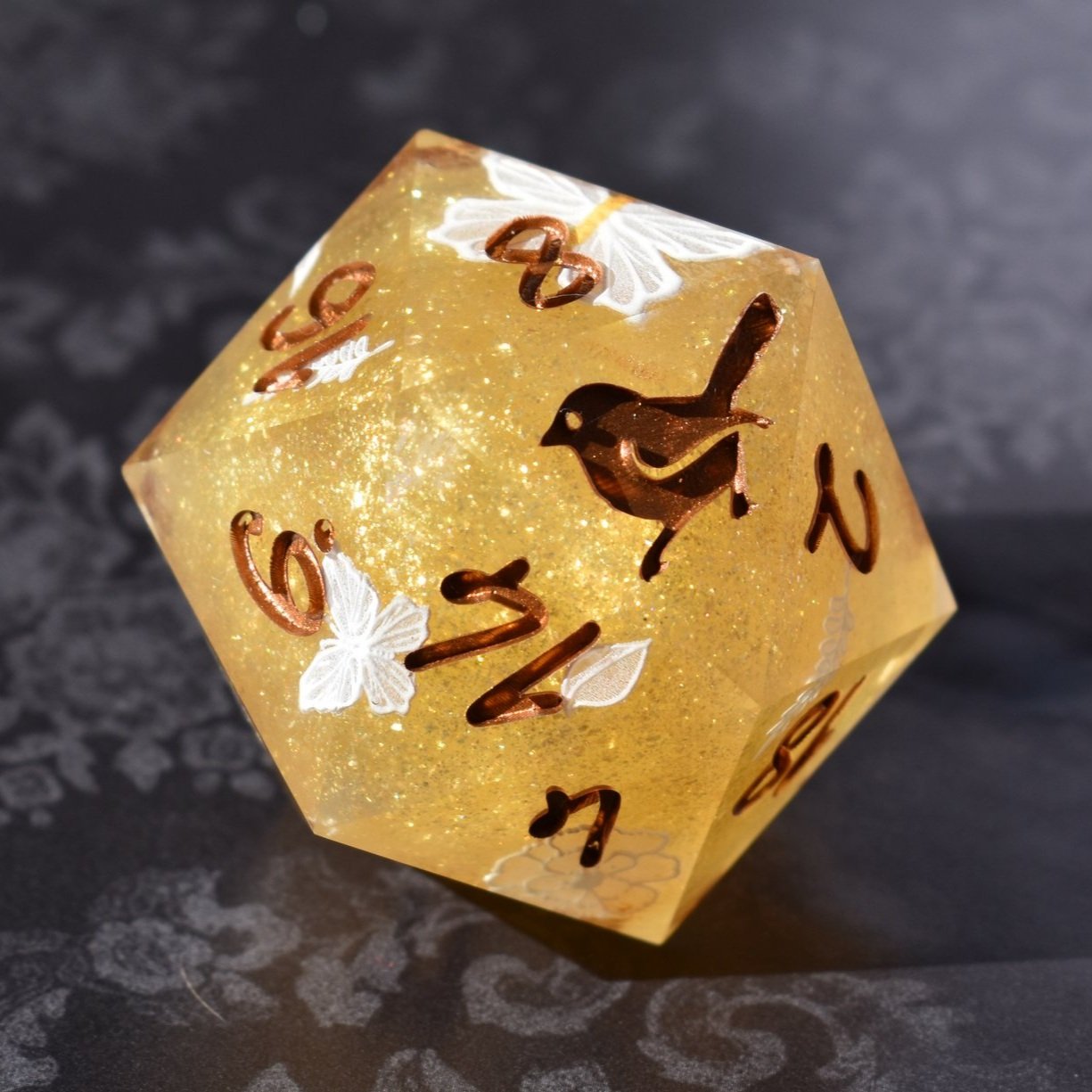 Maluridae Dice