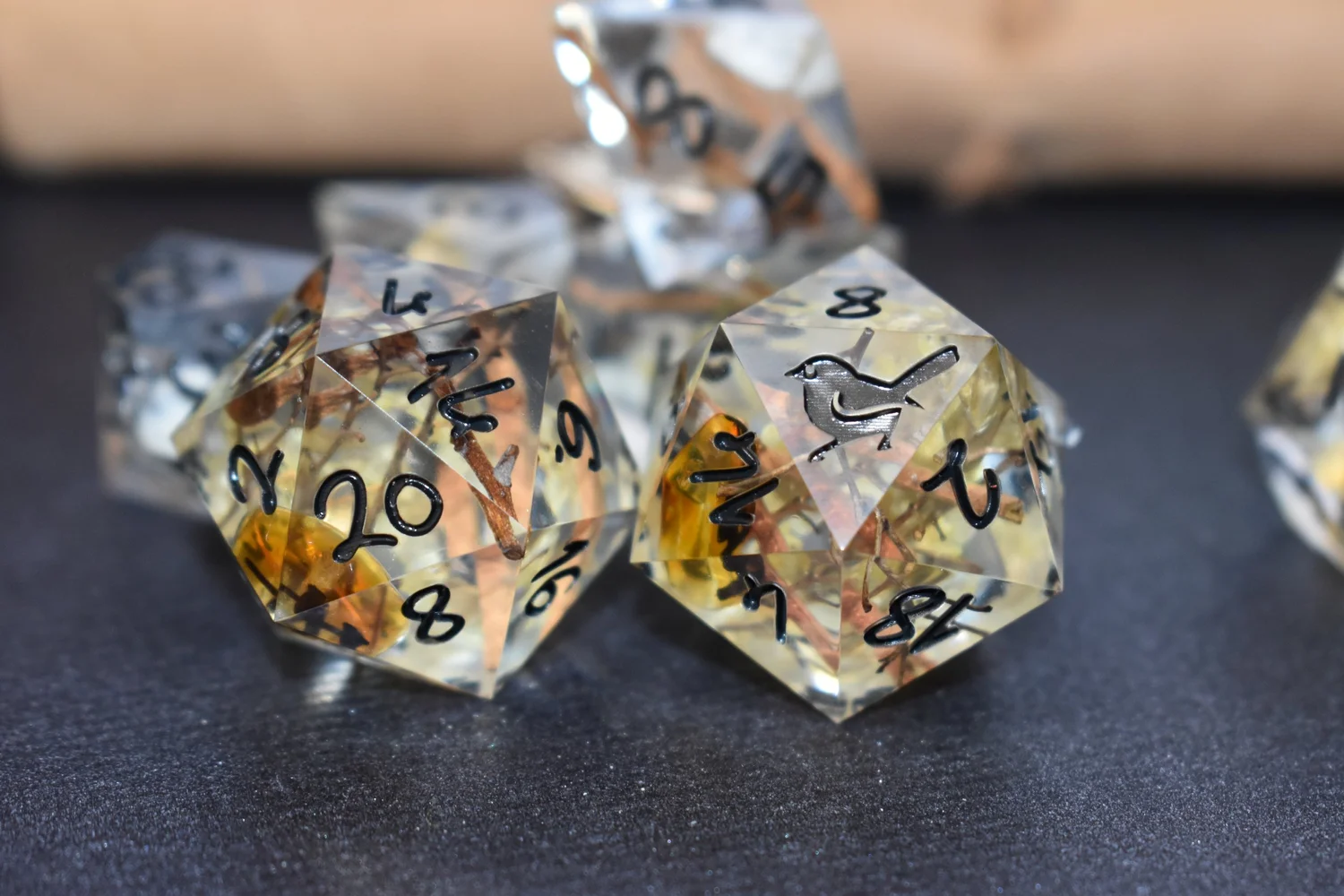 Gallery — Maluridae Dice