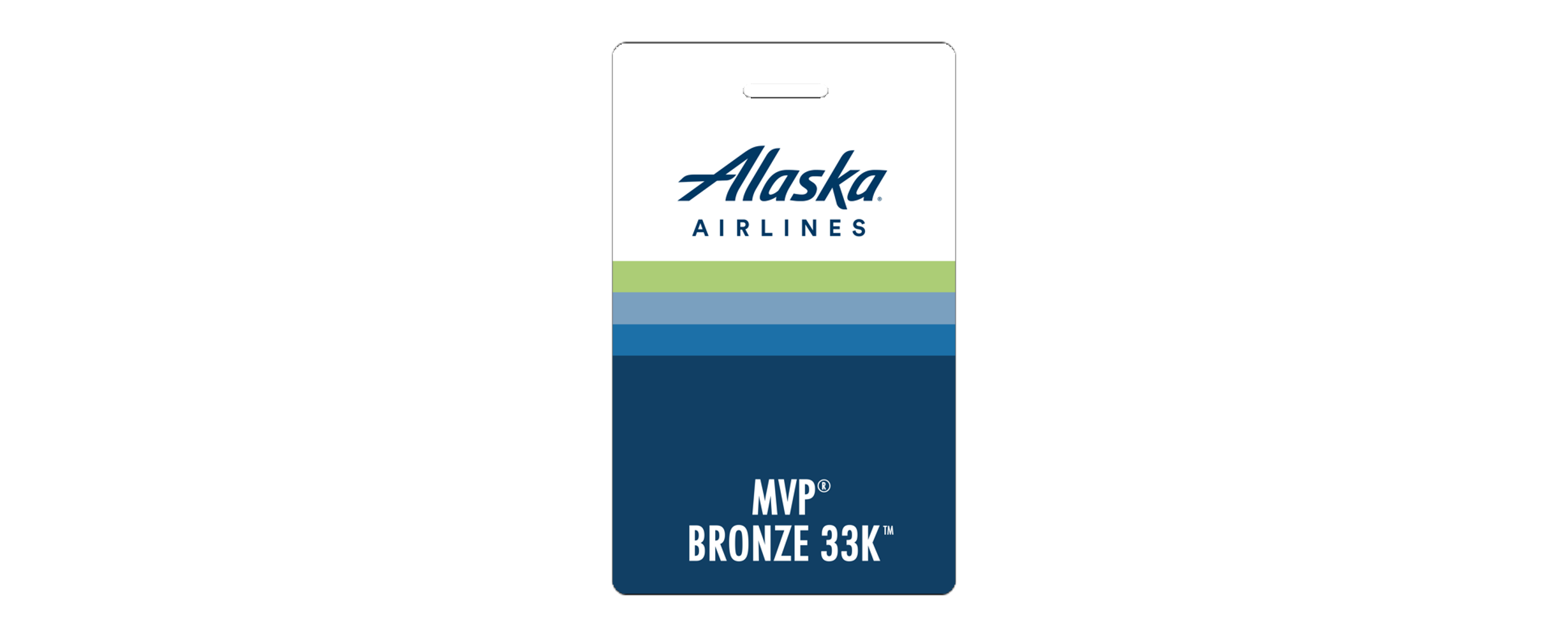 Alaska Airlines Luggage Tags — The Parody Popup Shop