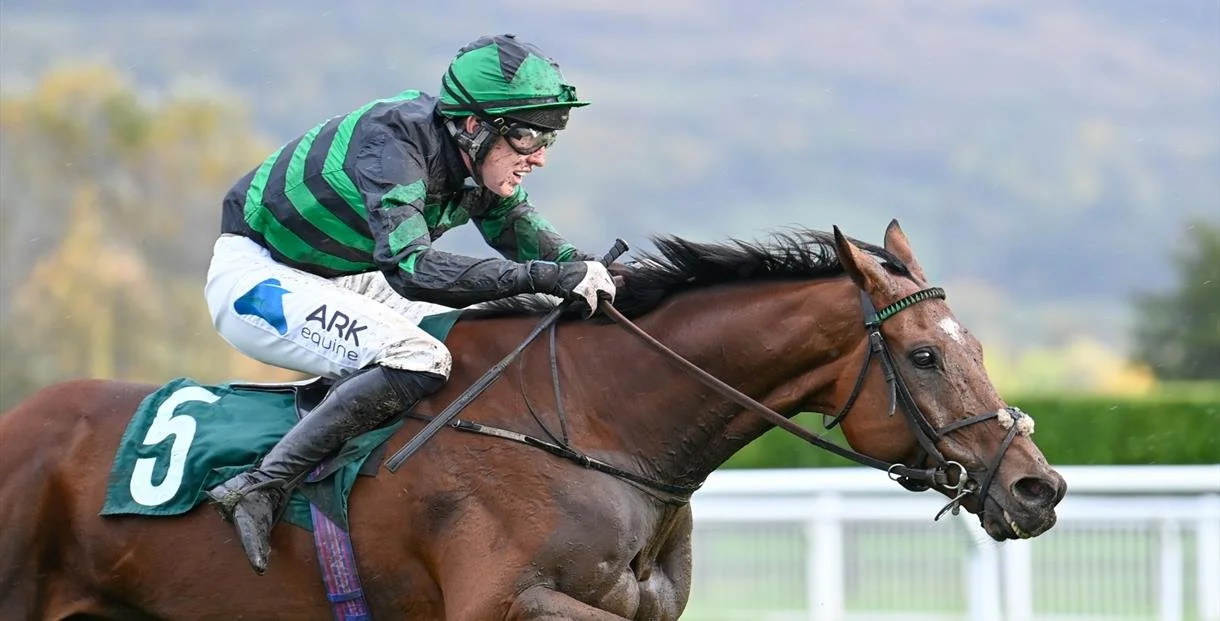Montpellier Courtyard