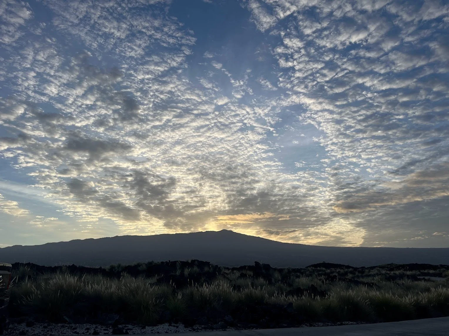 Mission & Vision — Pūlama īa Kona Heritage Preservation Council