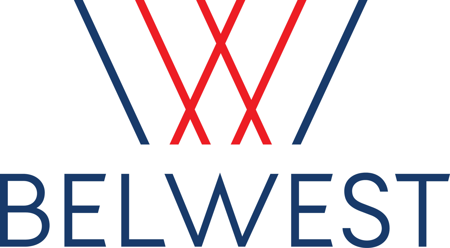 Our Special Interest Groups — BELWEST