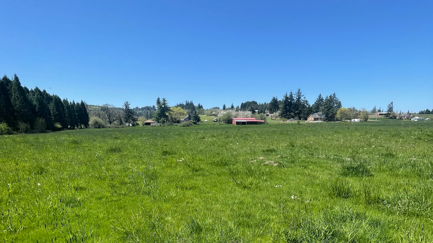 Store 1 — Brooks Family Farms