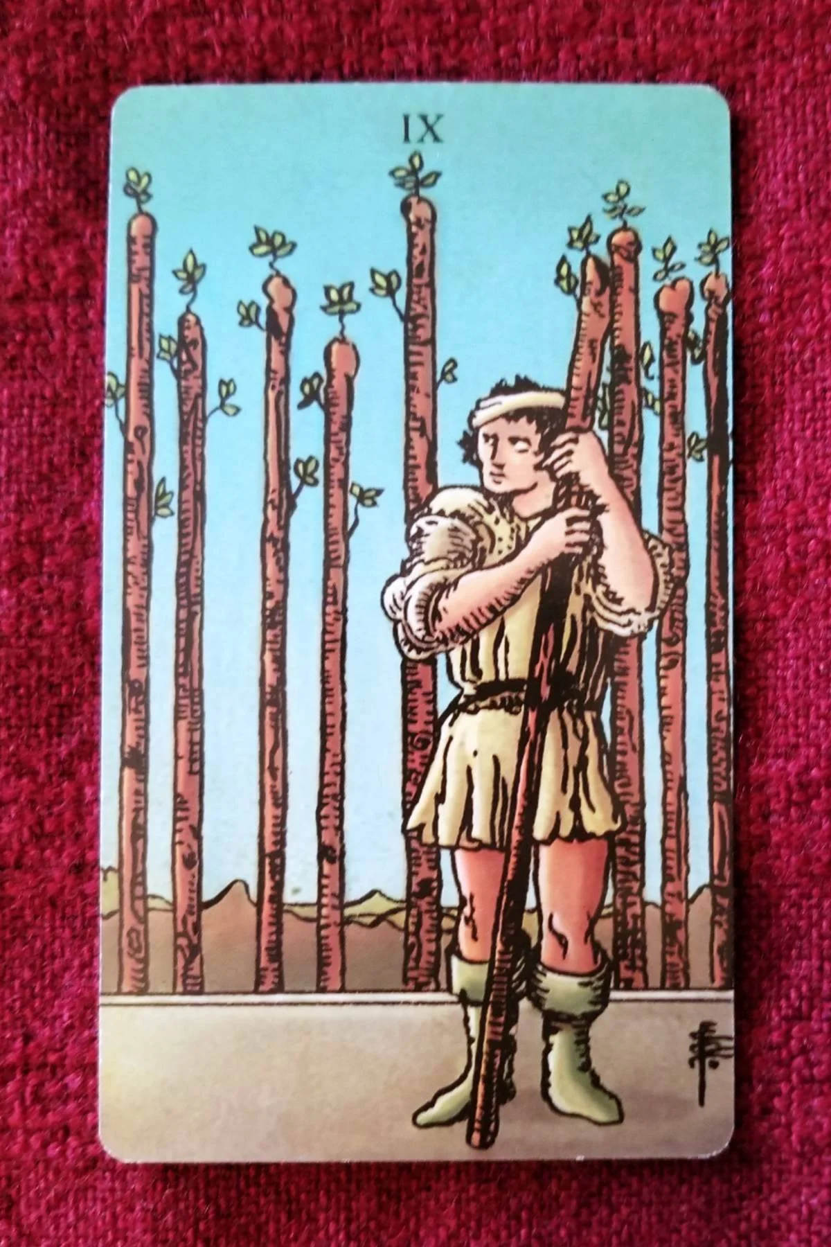 Tarot Card of the Day: Nine of Wands