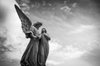 Angel Number 6