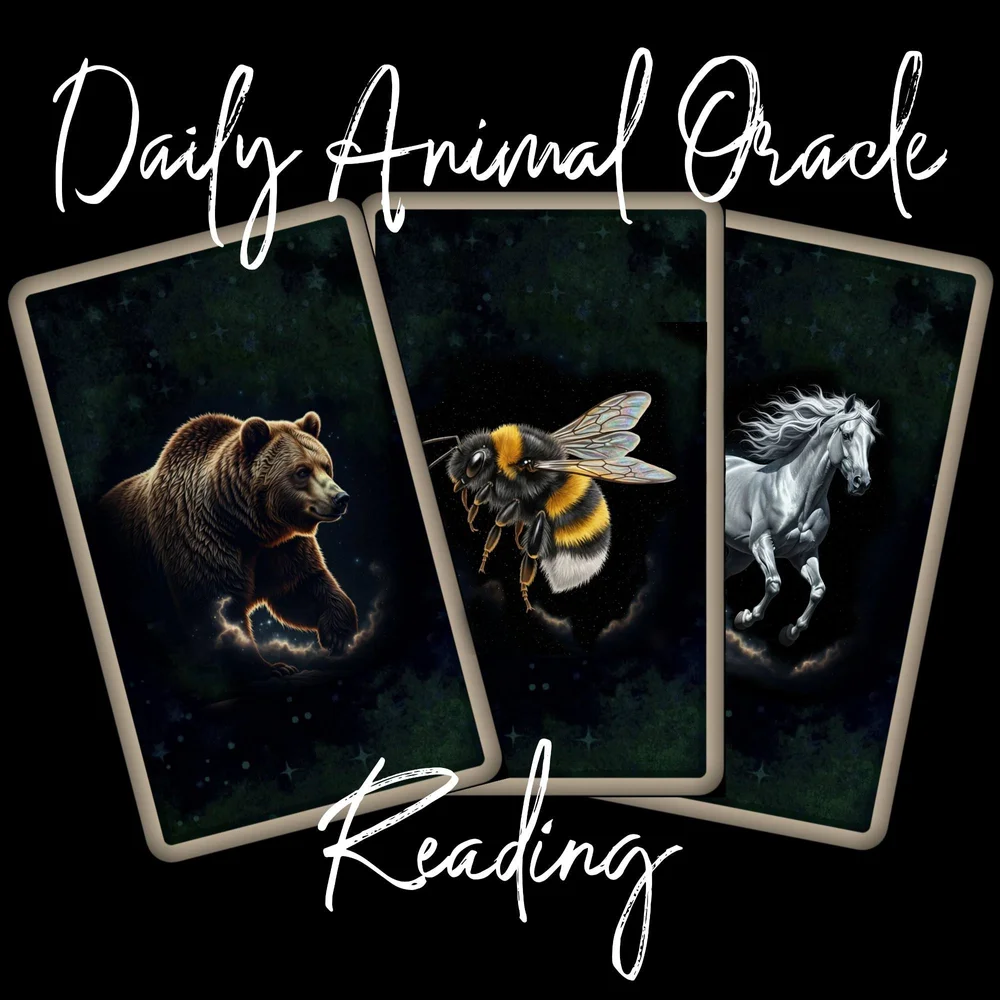 Free Animal Card Reading