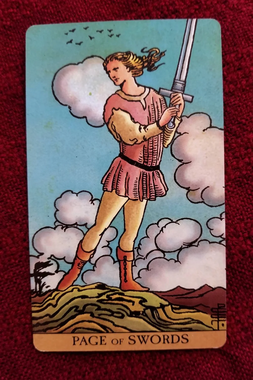 Tarot Card of the Day