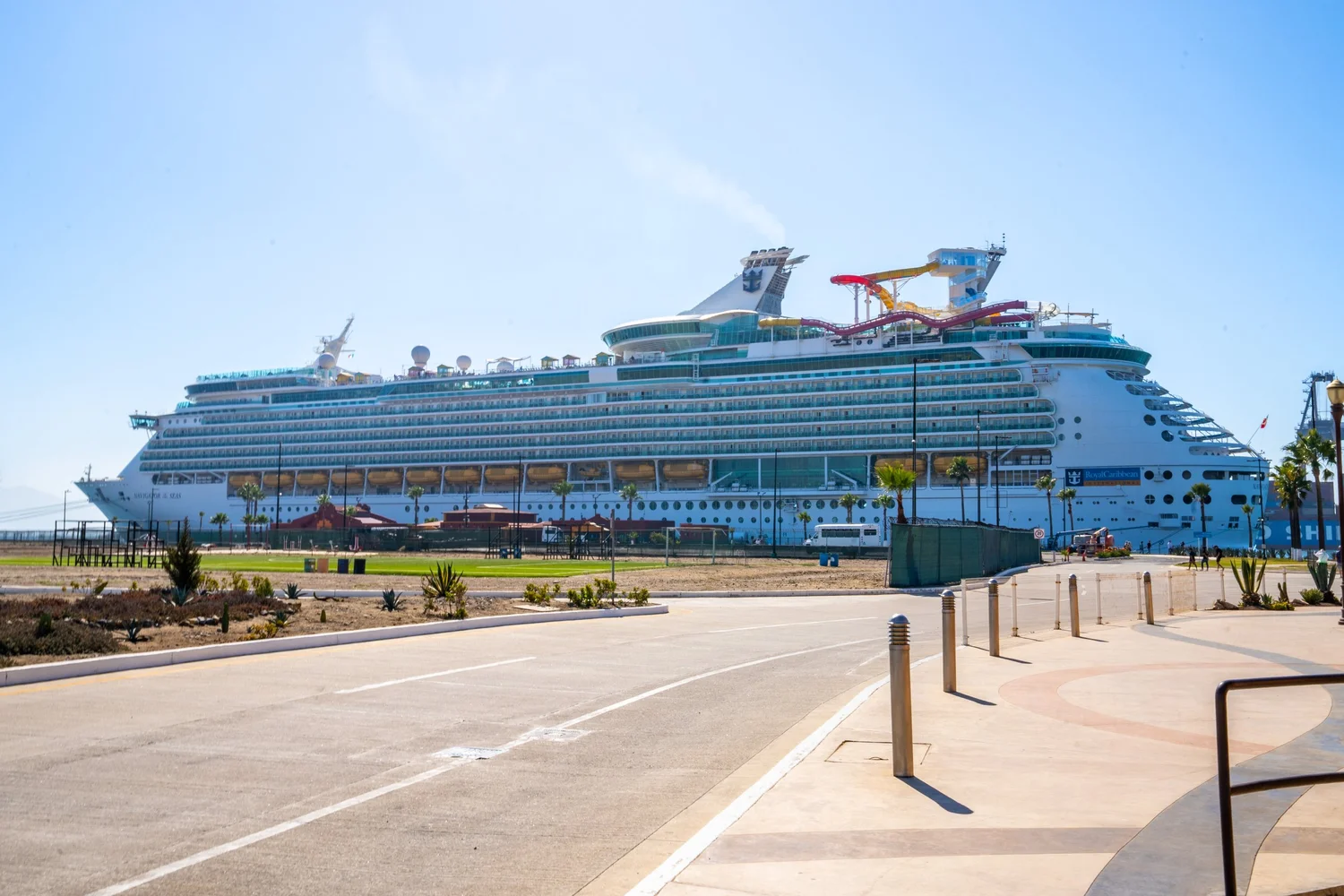 Good Morning Adventure