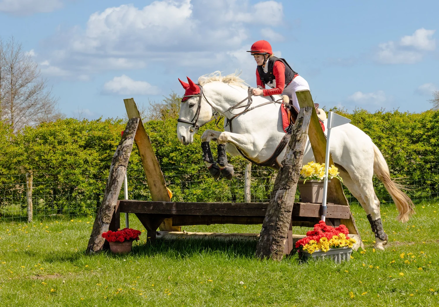 Livery stable and Horse boarding Yard — Annaharvey Farm